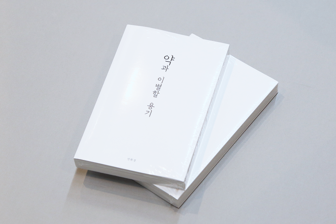 타라그래픽스 – Tara Graphics