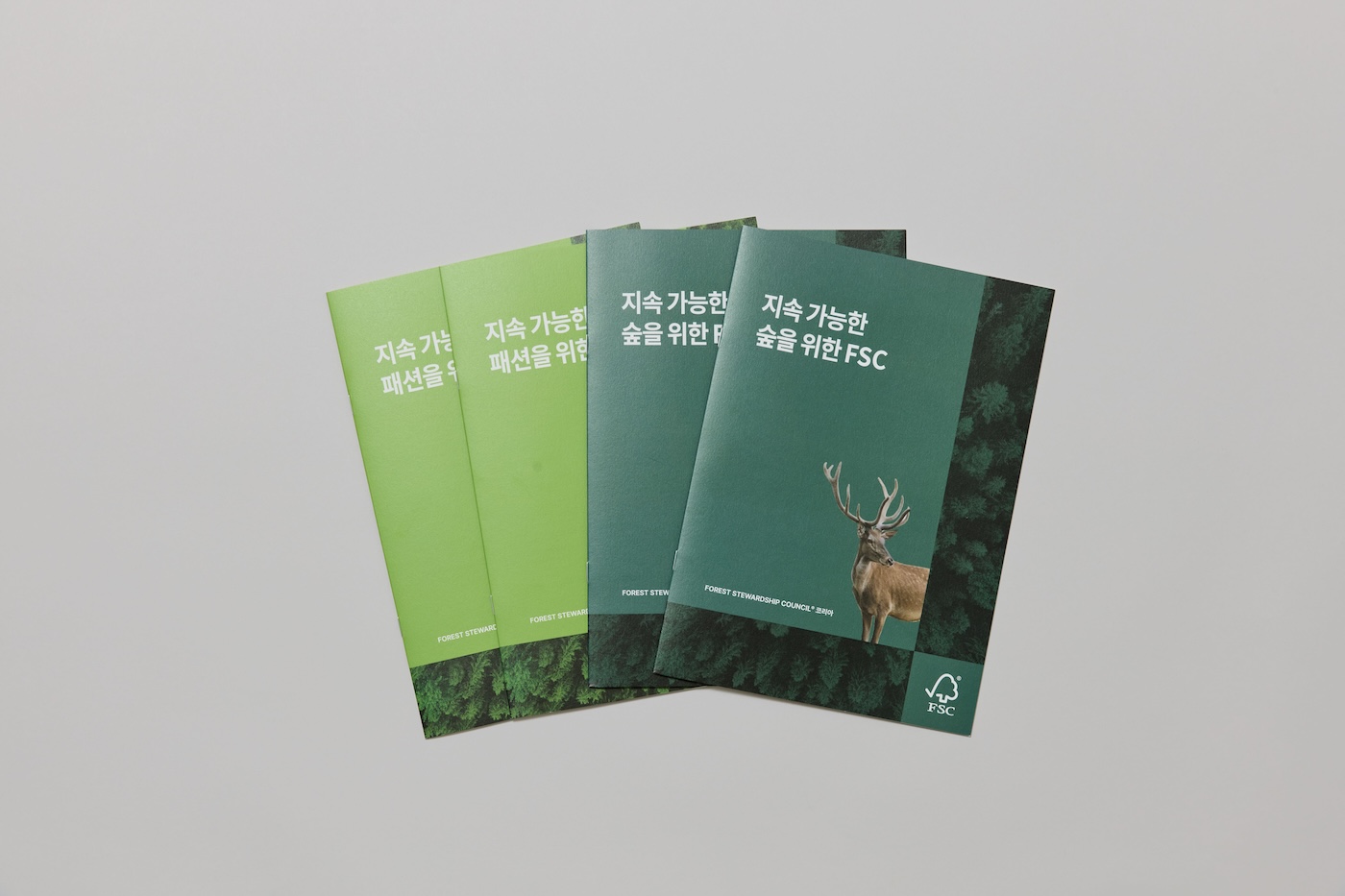 기업 소개 리플렛 - 타라그래픽스